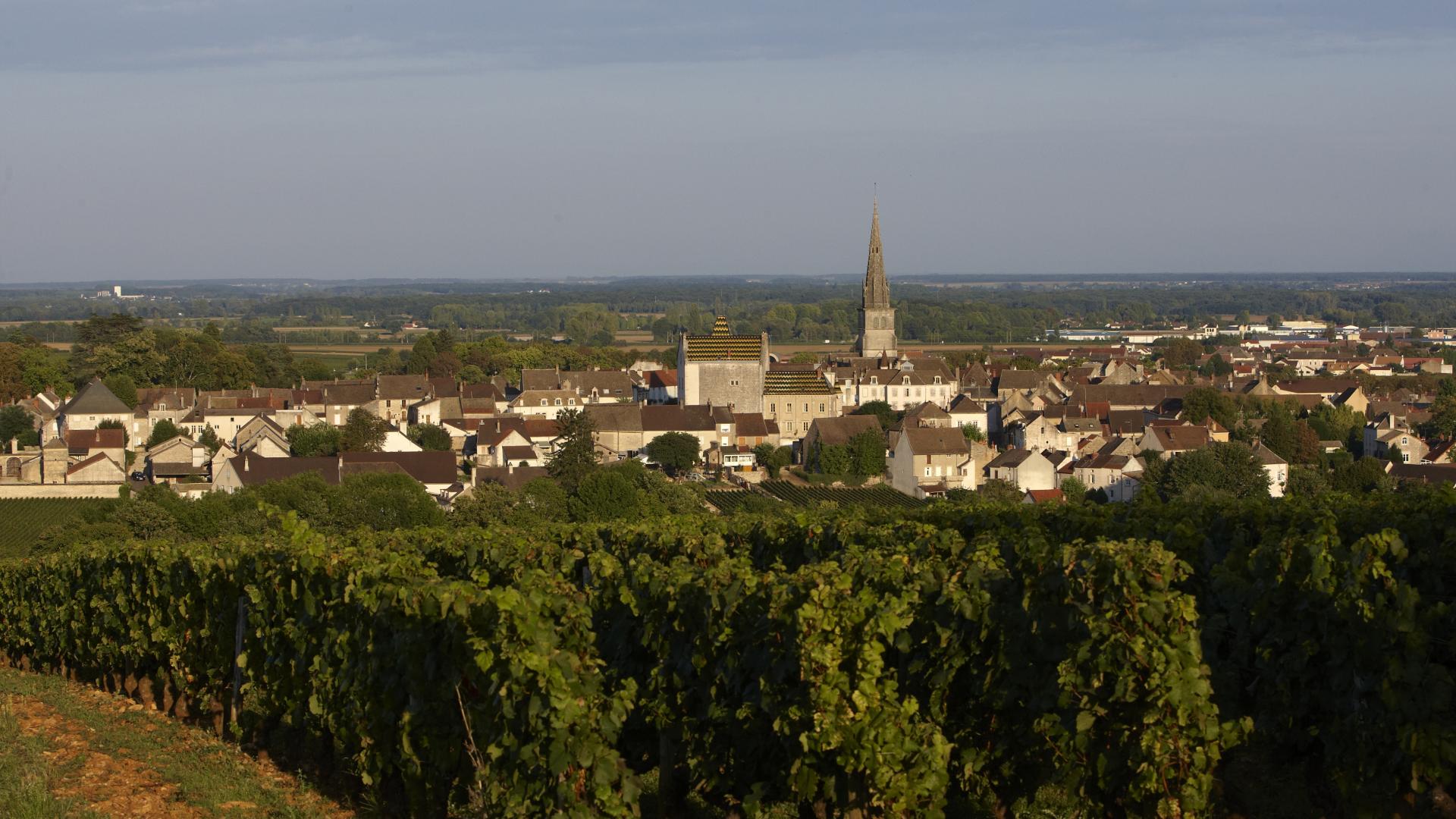 MEURSAULT | Beaune und das Pays Beaunois Tourismus – Burgund