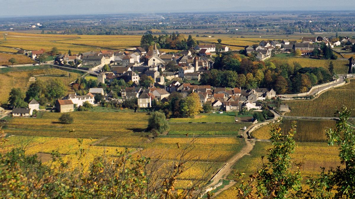 Meet the guides to Beaune and its villages | Beaune and the Beaune ...