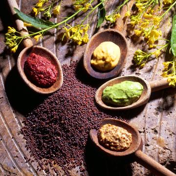 Beaune : 7 Sites d’Exception Pour Votre Séjour En Bourgogne | Beaune et ...