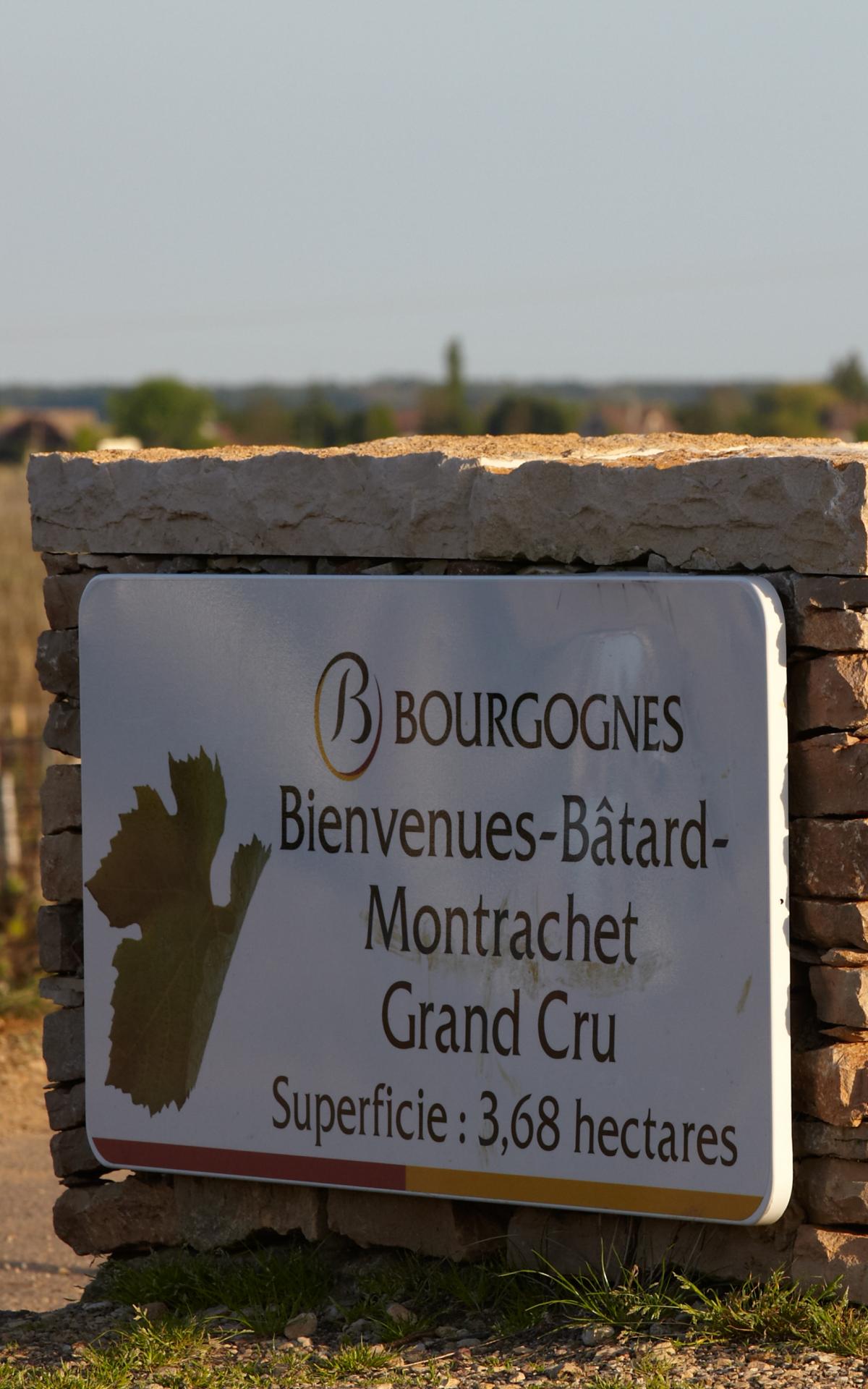 PULIGNY-MONTRACHET | Beaune and the Beaune region Tourism – Burgundy