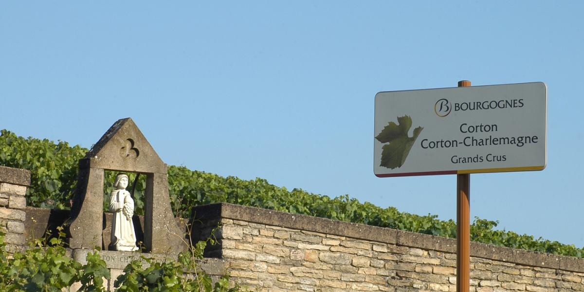 Denominação de Corton | Beaune e a região de Beaune Turismo – Borgonha