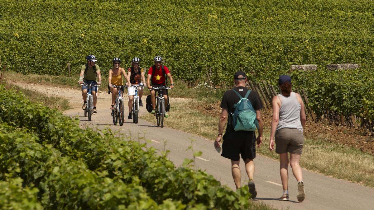 Découvrir les Hospices de Beaune | Beaune et le Pays Beaunois Tourisme ...