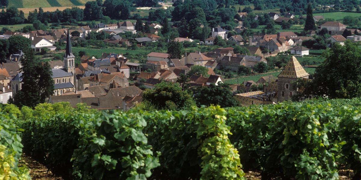 Santenay | Beaune et le Pays Beaunois Tourisme – Bourgogne
