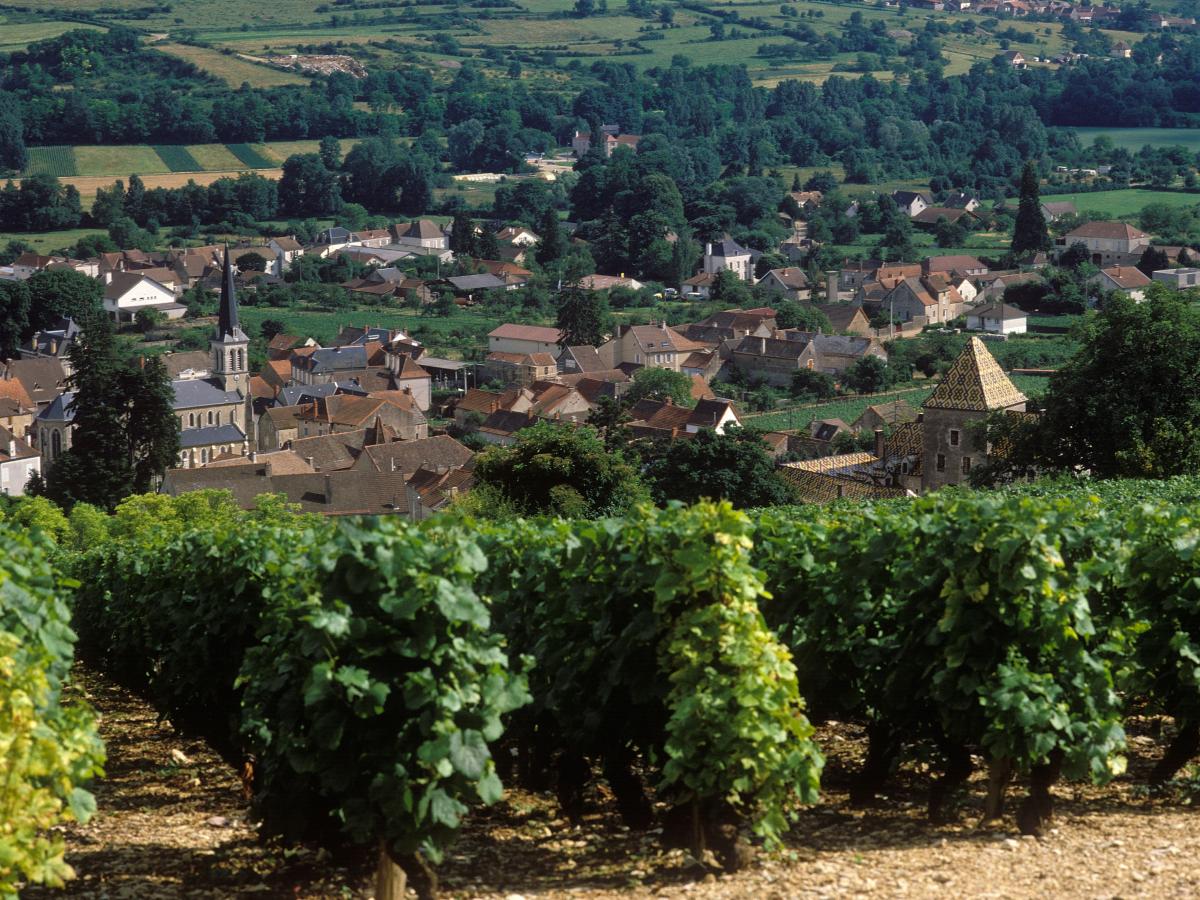La Voie des Vignes à vélo | Beaune et le Pays Beaunois Tourisme – Bourgogne