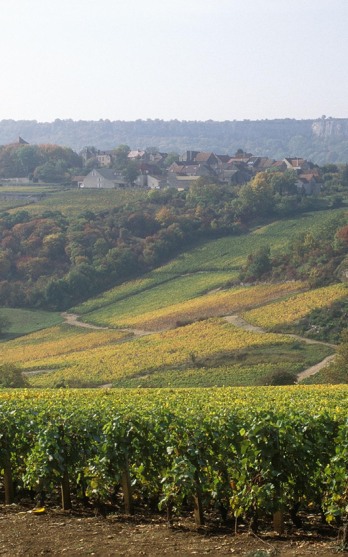 SAINT-ROMAIN | Beaune and the Beaune region Tourism – Burgundy