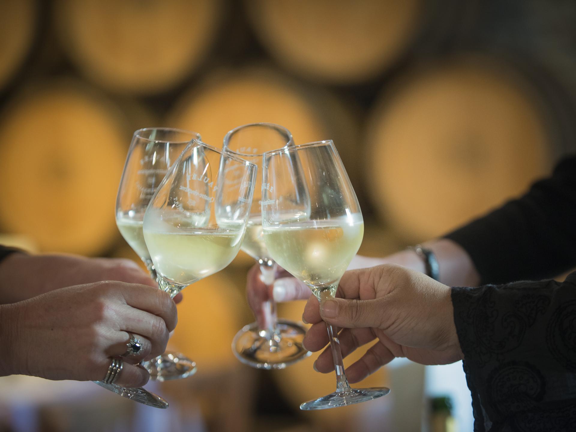 Rencontrer les vignerons | Beaune et le Pays Beaunois Tourisme – Bourgogne