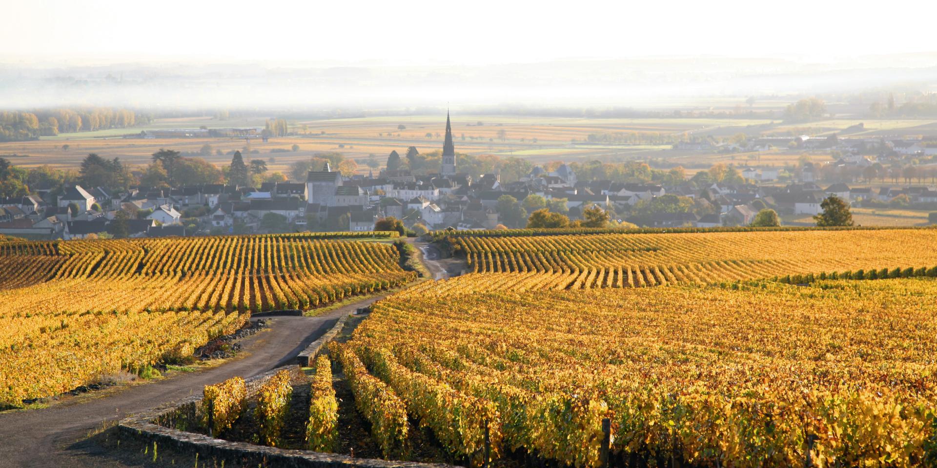 Les Appellations de Bourgogne | Beaune et le Pays Beaunois Tourisme ...