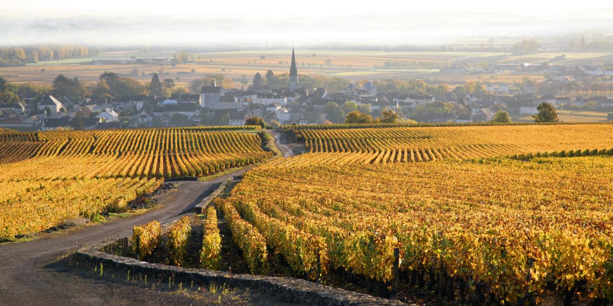 Vignobles et découvertes | Beaune et le Pays Beaunois Tourisme – Bourgogne