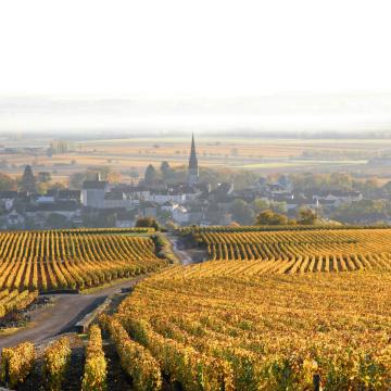 Beaune and the Beaune region Tourism – Burgundy