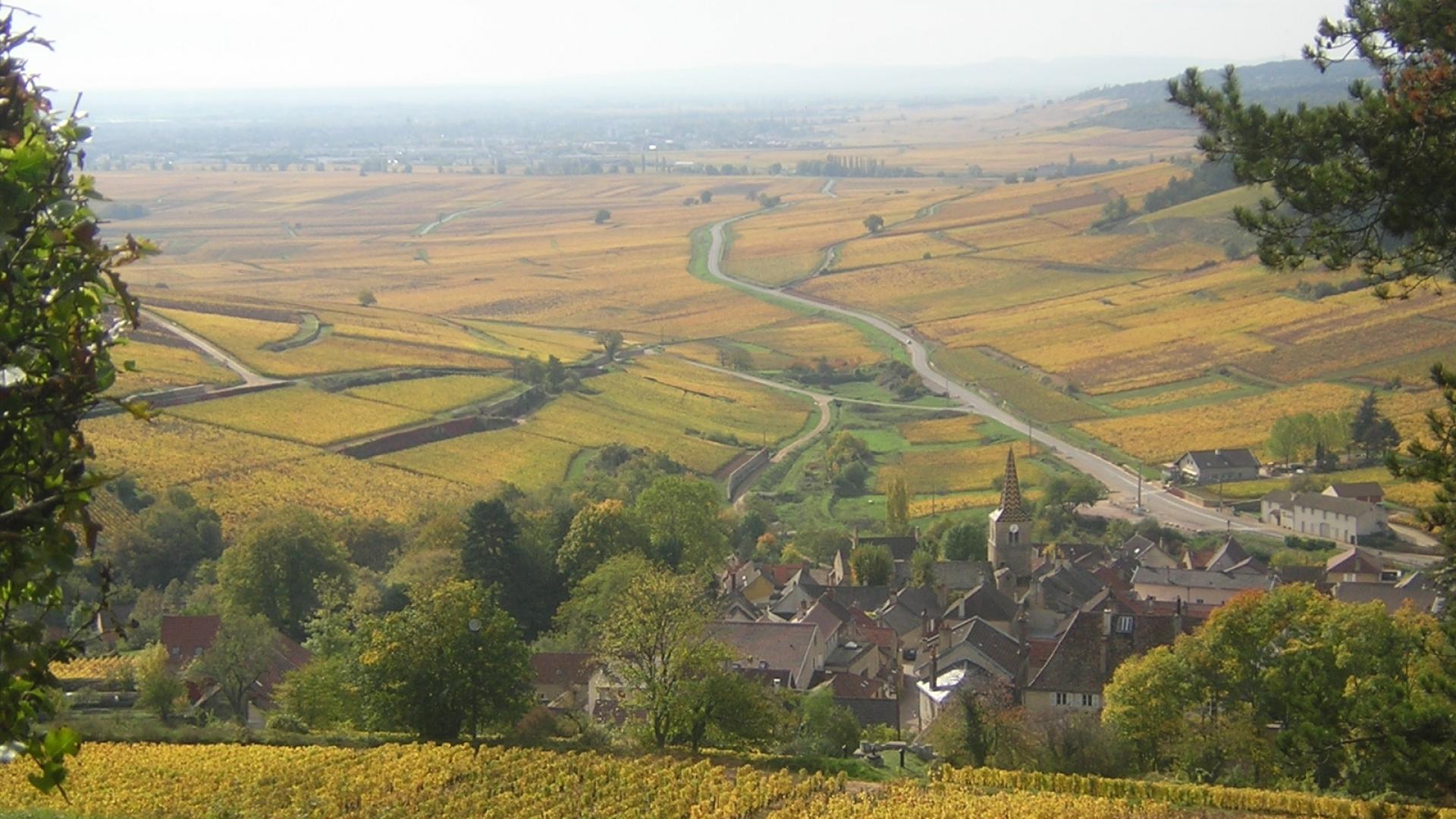 PERNAND-VERGELESSES | Beaune and the Beaune region Tourism – Burgundy