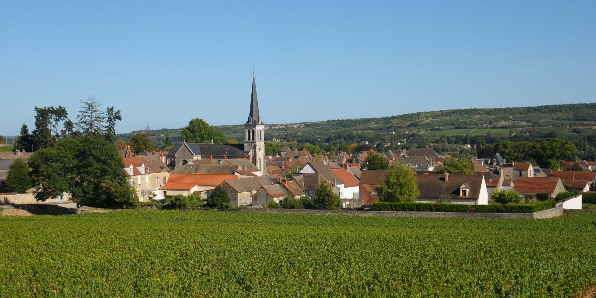 Santenay | Beaune and the Beaune region Tourism – Burgundy