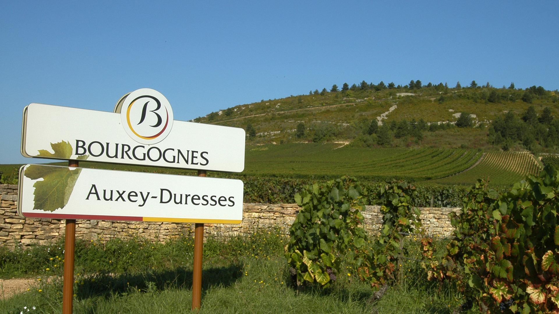 Viaje por la Ruta de los Grandes Crus | Turismo en Beaune y su región ...