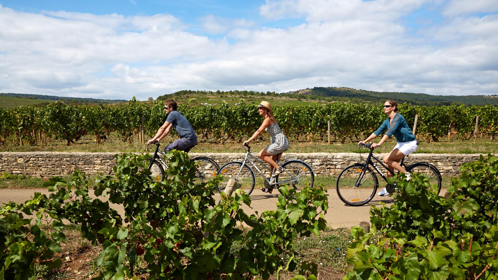La Grande Vadrouille | Beaune et le Pays Beaunois Tourisme – Bourgogne