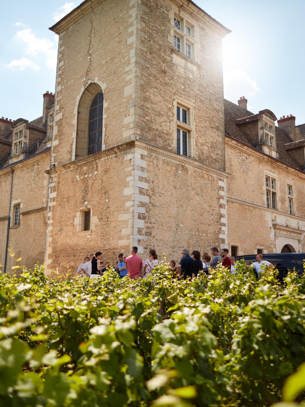 Experience Fantastic Picnic | Beaune and the Beaune region Tourism ...