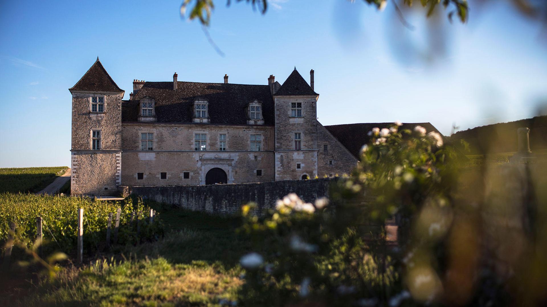 Top Burgundy wine : Clos de Vougeot | Beaune and the Beaune region ...