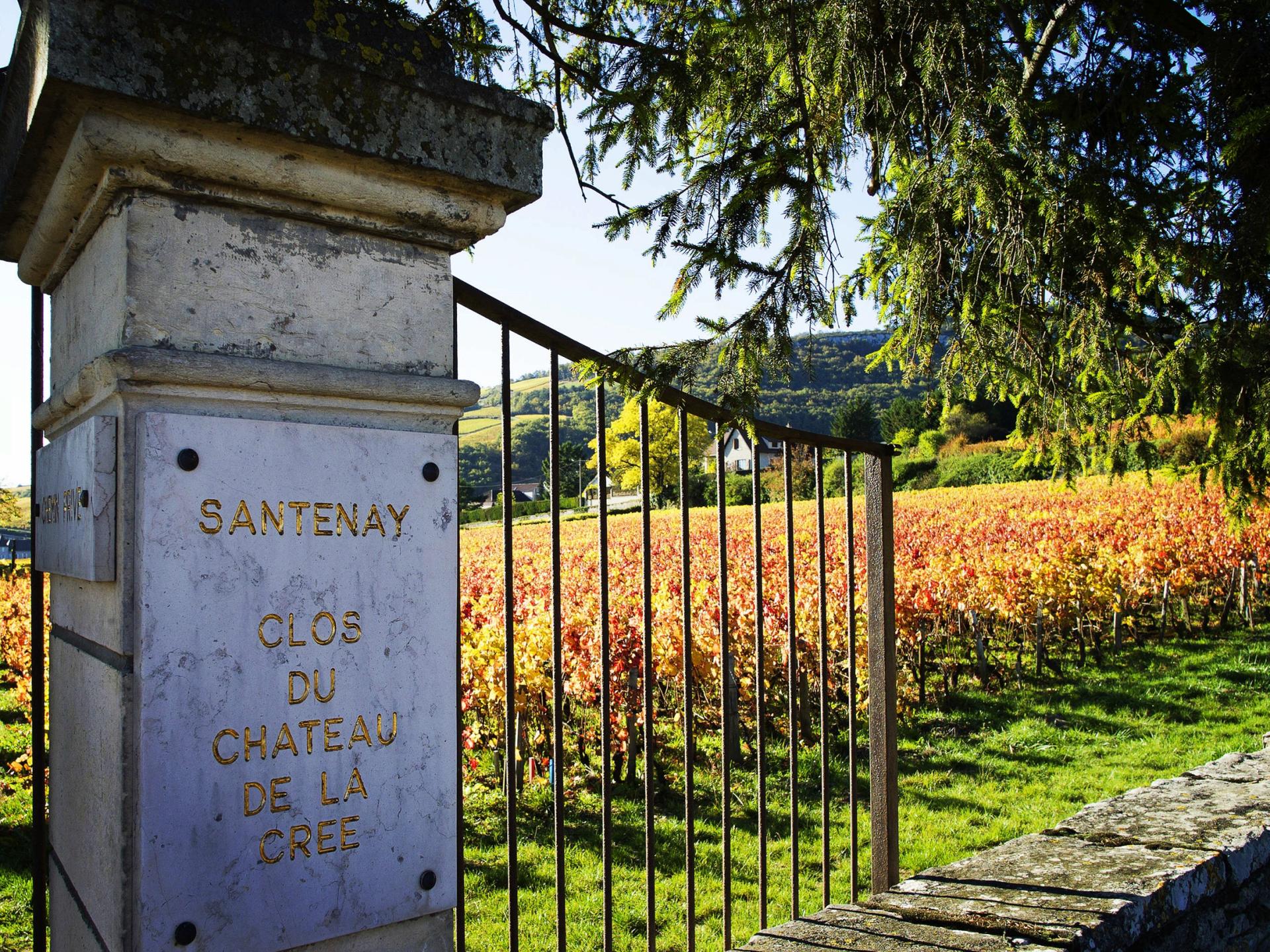 Santenay | Beaune et le Pays Beaunois Tourisme – Bourgogne