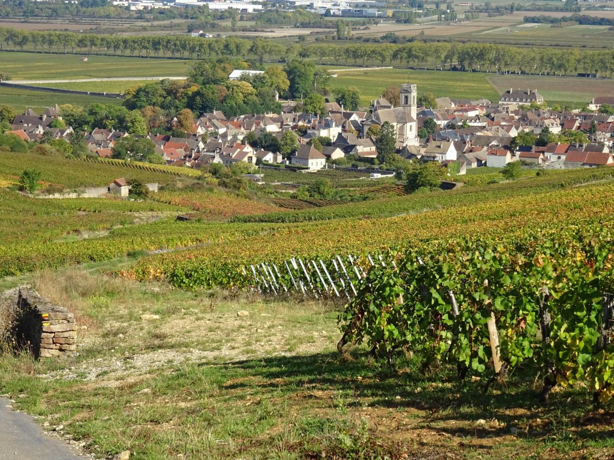 Villages around Beaune | Beaune and the Beaune region Tourism – Burgundy
