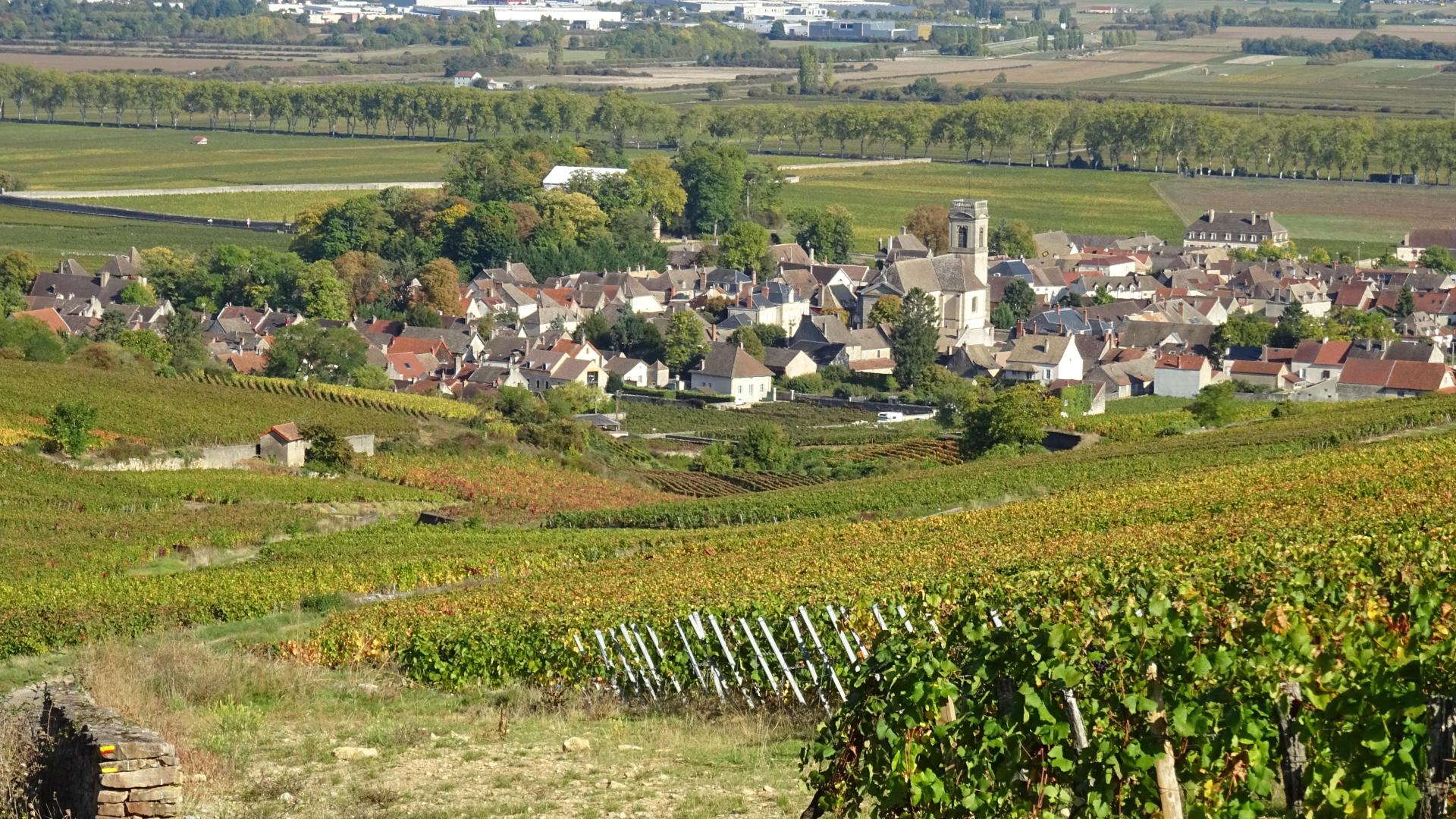 Appellation Pommard | Beaune et le Pays Beaunois Tourisme – Bourgogne