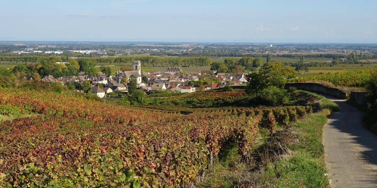 Pommard | Beaune and the Beaune region Tourism – Burgundy