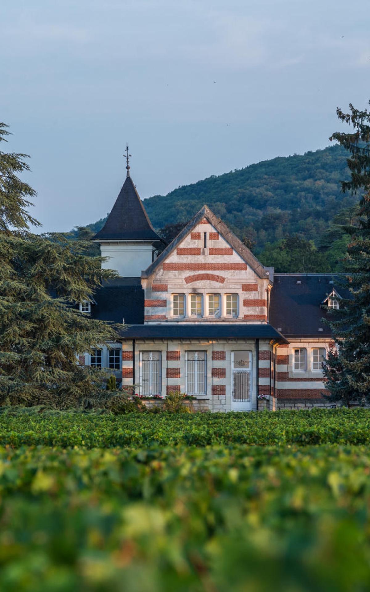 10 must-see wineries | Beaune and the Beaune region Tourism – Burgundy