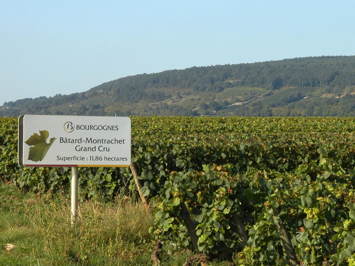 PULIGNY-MONTRACHET | Beaune e a região de Beaune Turismo – Borgonha