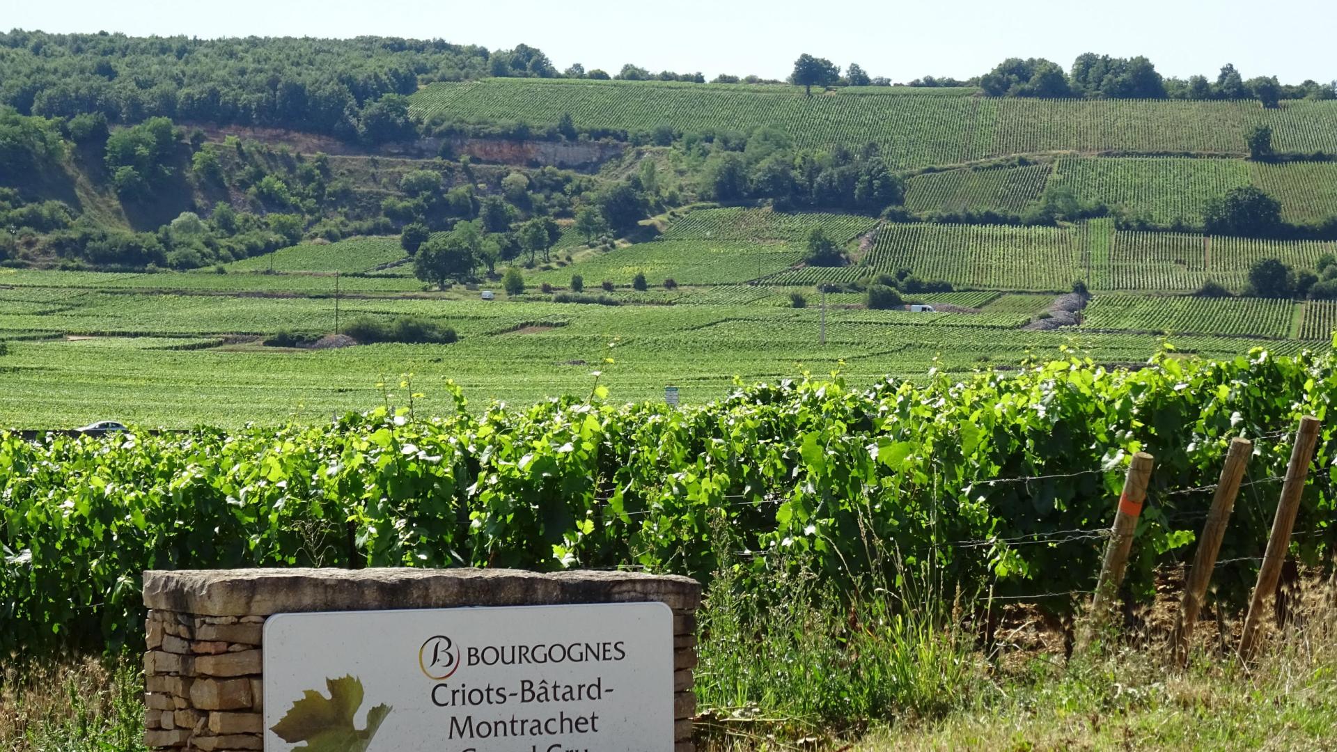CHASSAGNE-MONTRACHET | Turismo en Beaune y su región – Borgoña