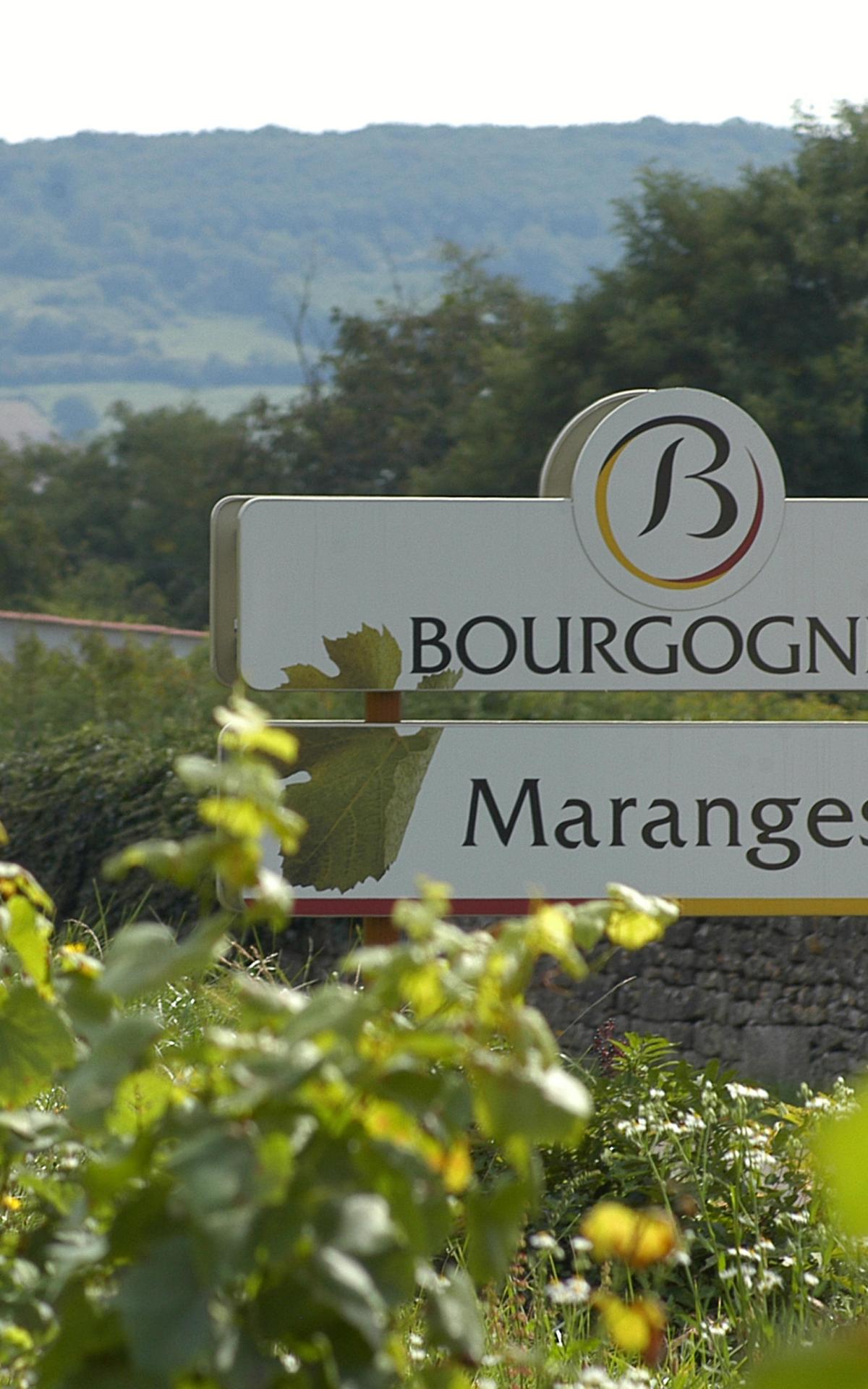 DEZIZE-LES-MARANGES | Beaune and the Beaune region Tourism – Burgundy