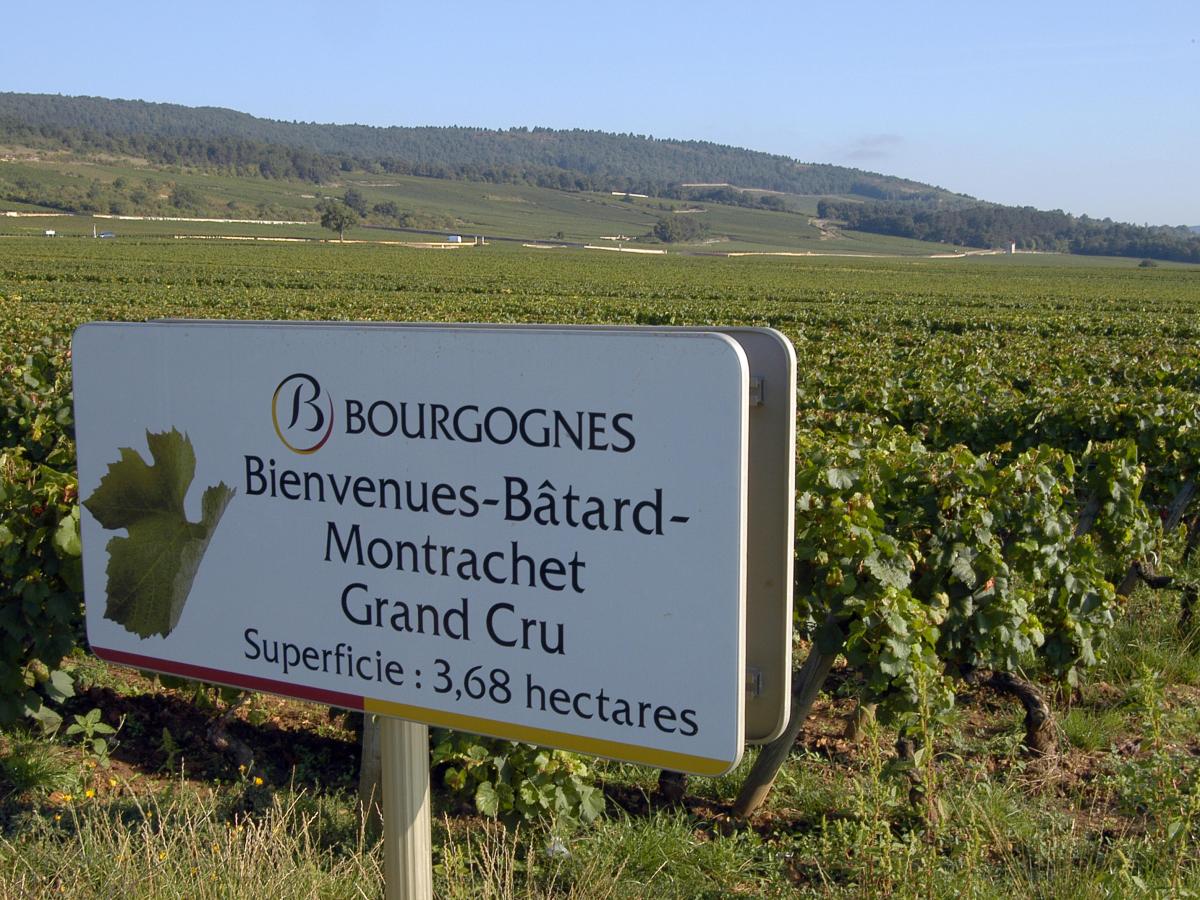 Liste des appellations | Beaune et le Pays Beaunois Tourisme – Bourgogne