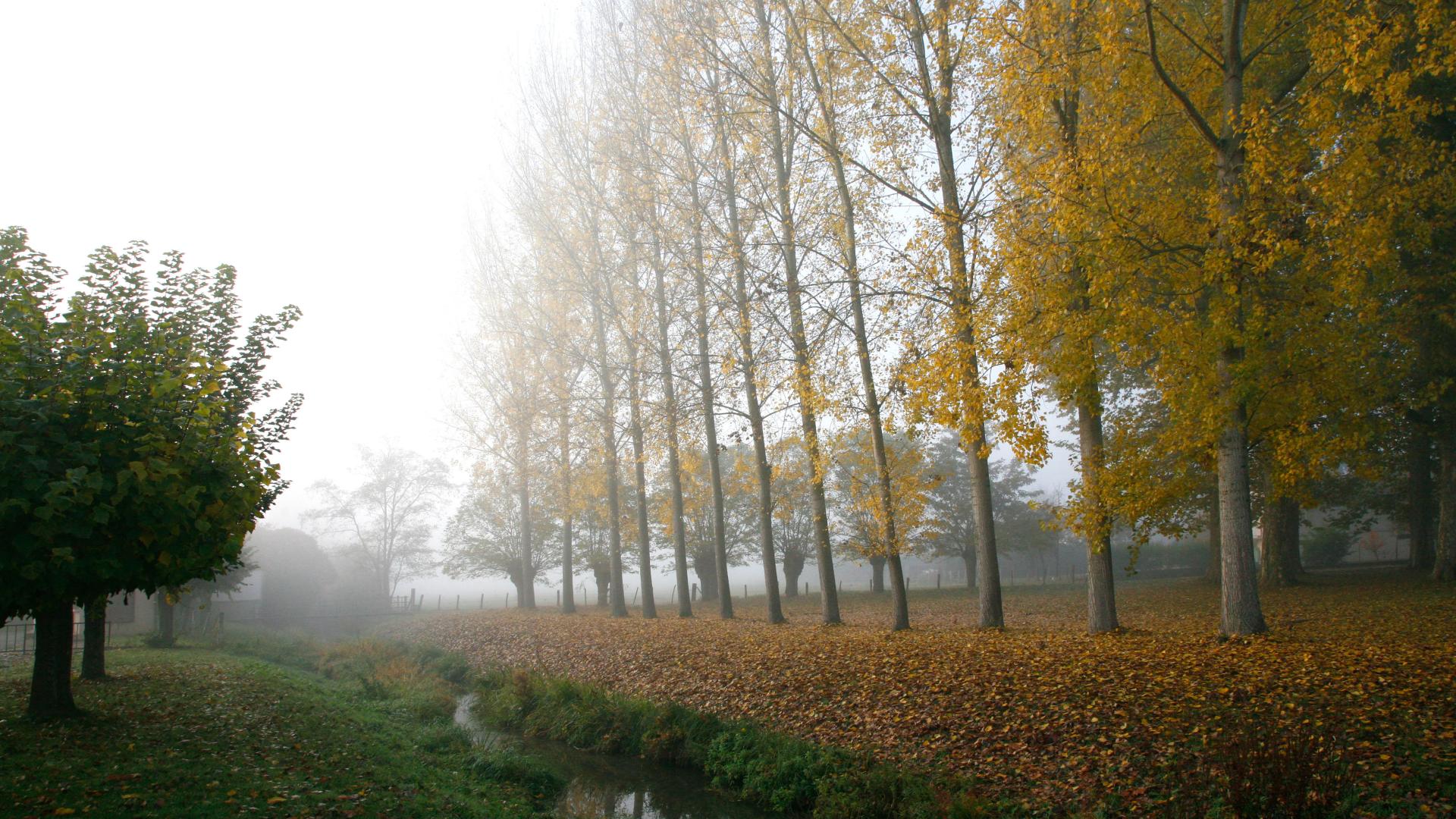 Ruffey-les-Beaune | Beaune et le Pays Beaunois Tourisme – Bourgogne