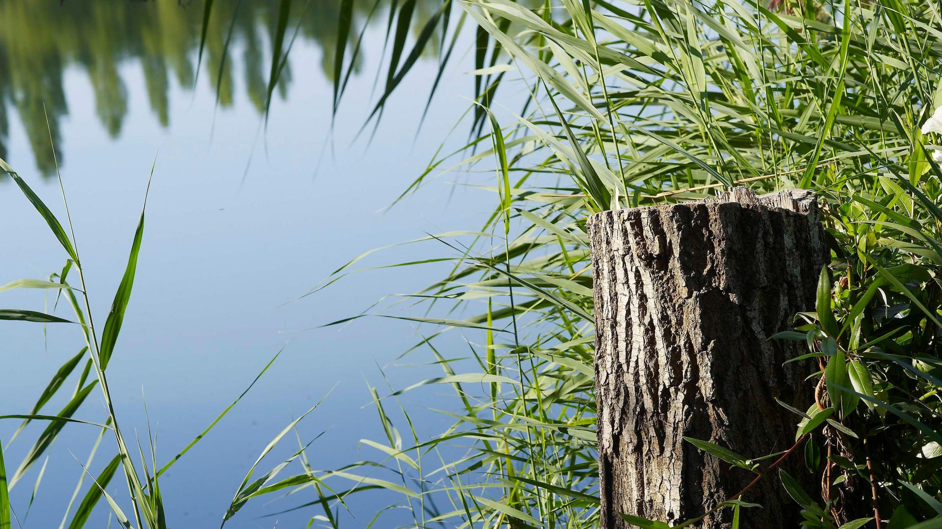 Tailly | Turismo en Beaune y su región – Borgoña