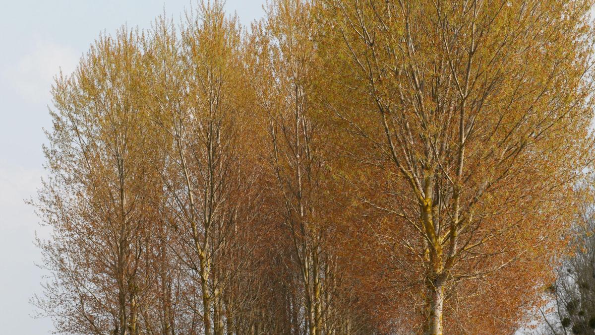 RUFFEY-LES-BEAUNE | Beaune und das Pays Beaunois Tourismus – Burgund