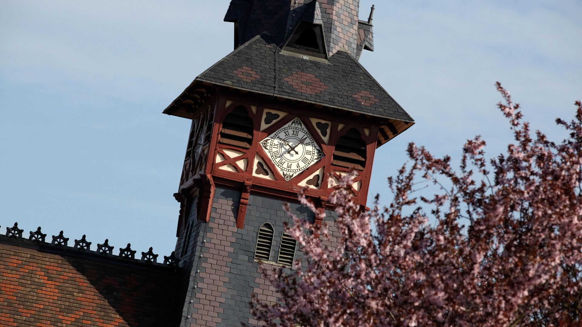 VIGNOLES | Beaune and the Beaune region Tourism – Burgundy