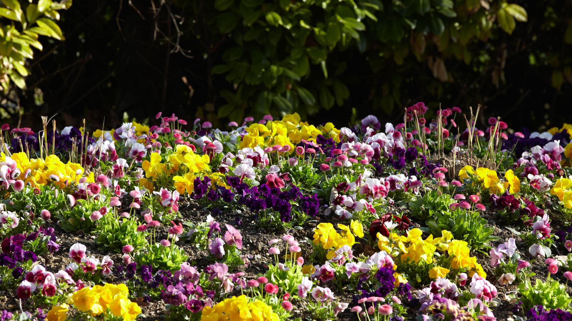 VIGNOLES | Beaune and the Beaune region Tourism – Burgundy