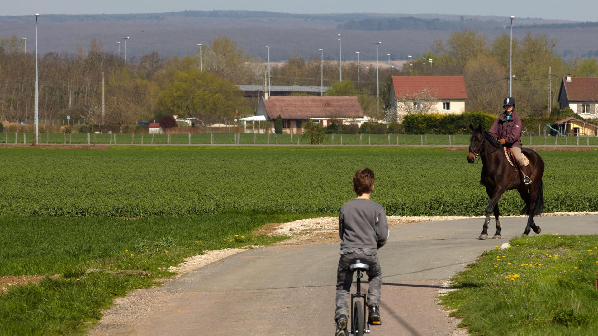 VIGNOLES | Beaune and the Beaune region Tourism – Burgundy