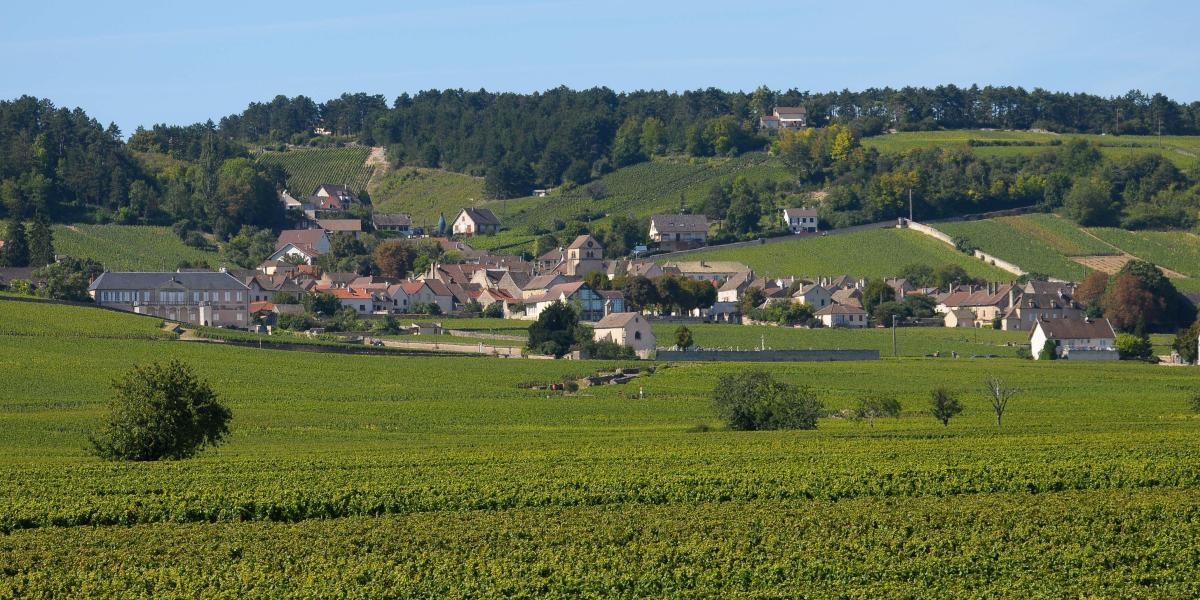 VOLNAY | Beaune and the Beaune region Tourism – Burgundy