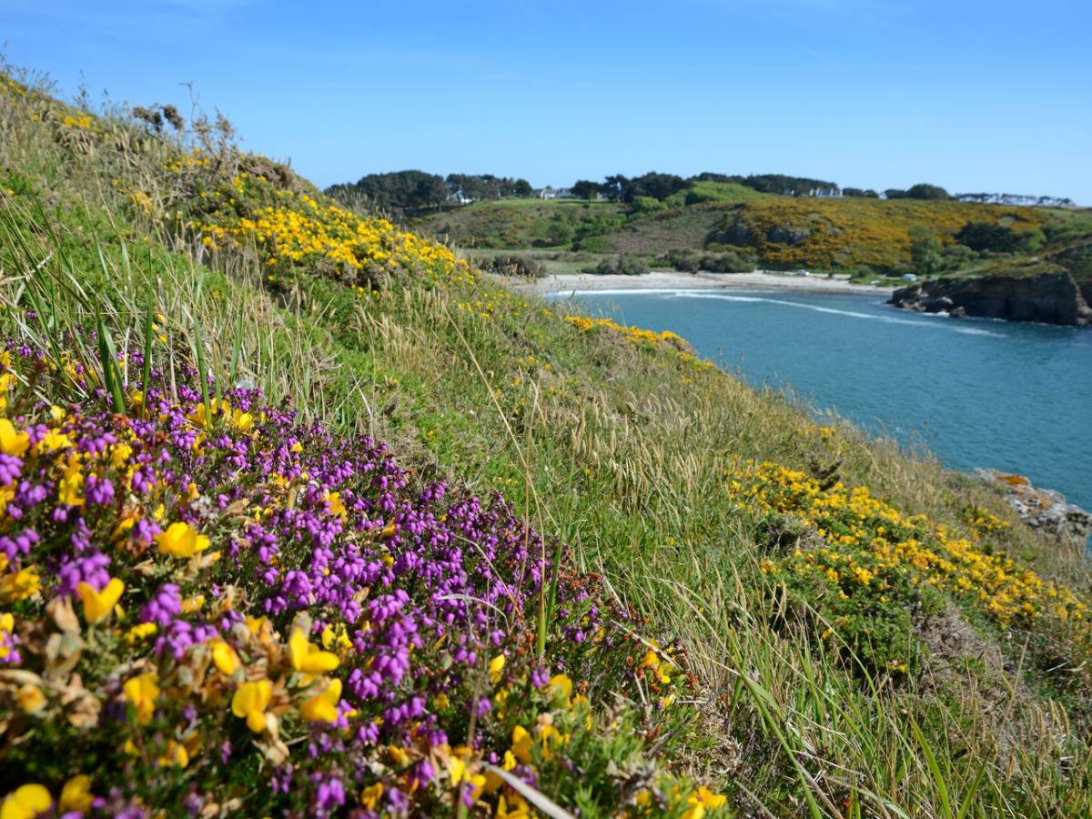Sauzon and its picturesque port | Belle-Île-en-Mer Tourist Office ...