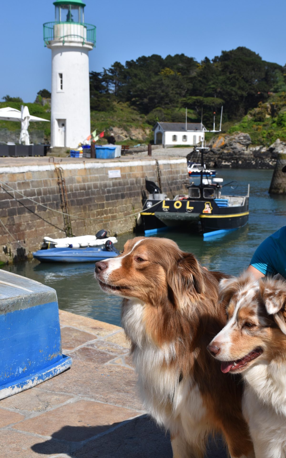 Une île qui a du chien ! | Office de Tourisme de Belle-Ile-en-Mer ...