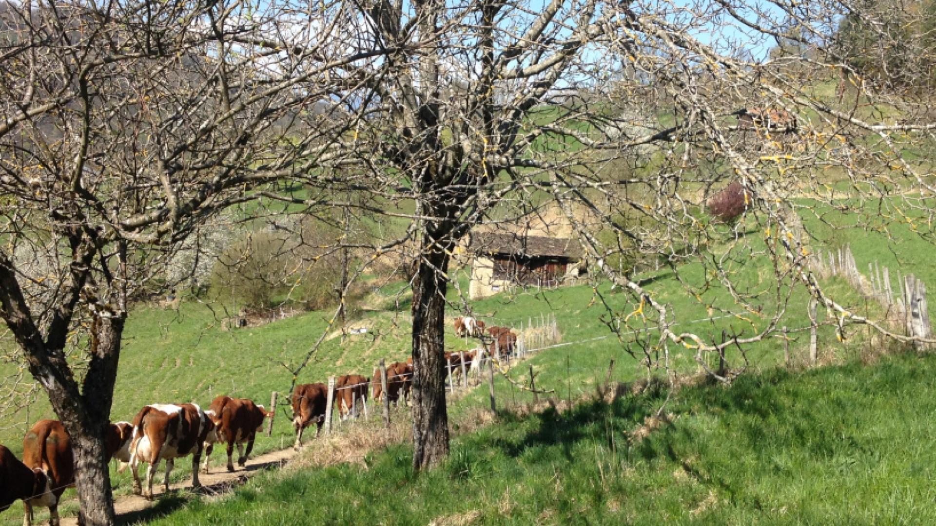 Ferme pédagogique la Grangette en Isère – Belledonne