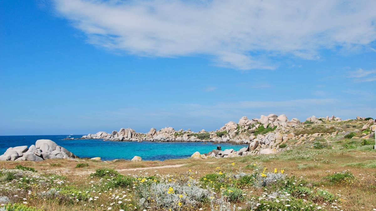 L’arcipelago delle Isole Lavezzi | Bonifacio, Corsica del Sud e Isole ...
