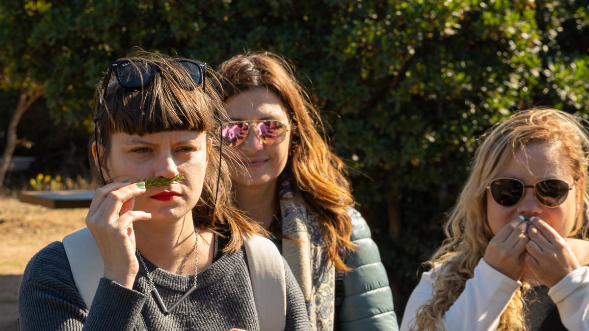 Top 6 des plus belles plages de Bonifacio | Office de Tourisme de Bonifacio