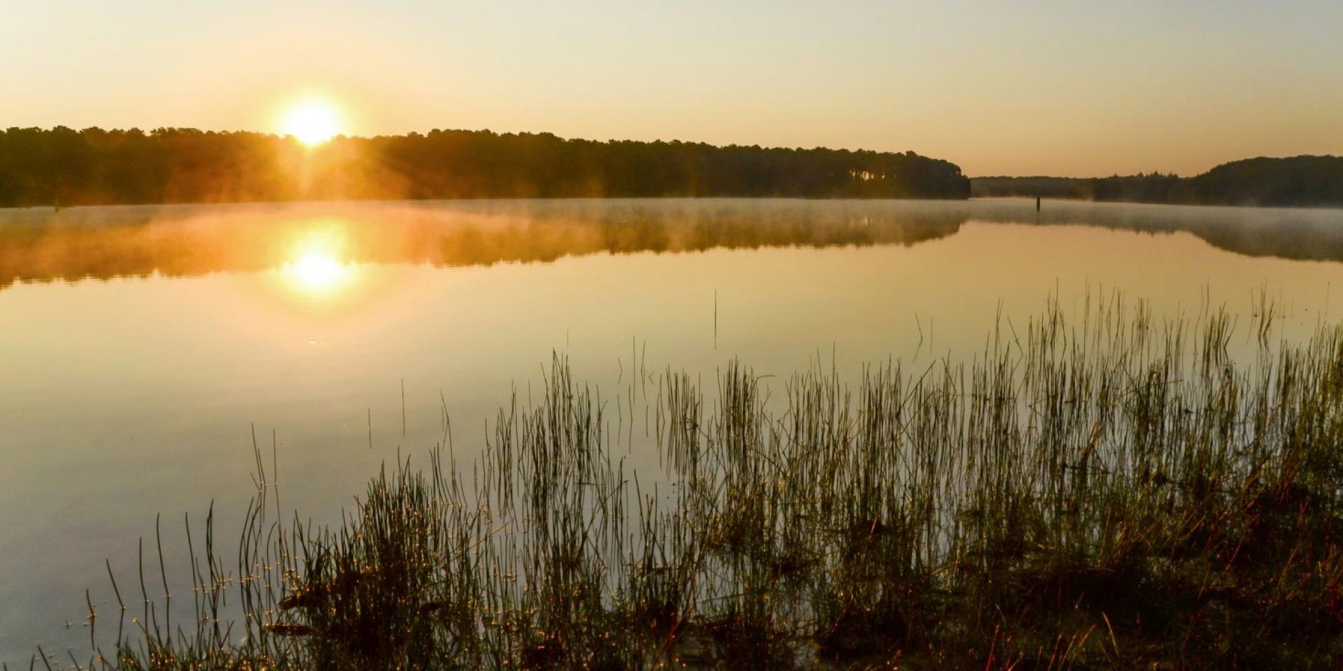 Le Lac de Trémelin, au coeur de la forêt de Brocéliande