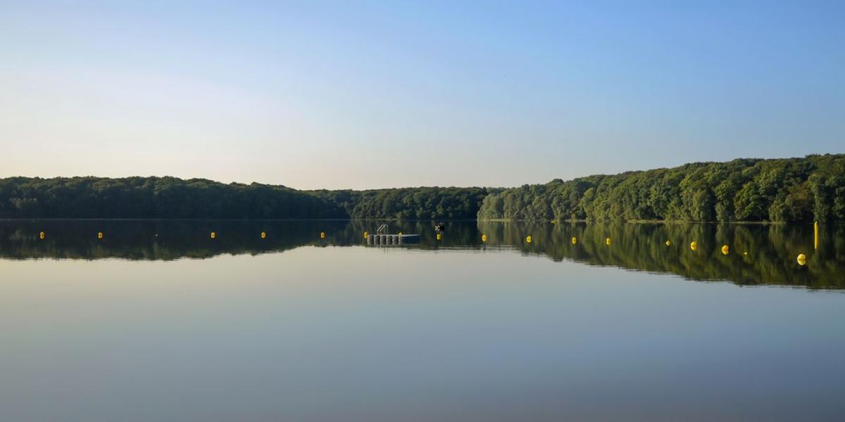 Le Lac de Trémelin, au coeur de la forêt de Brocéliande
