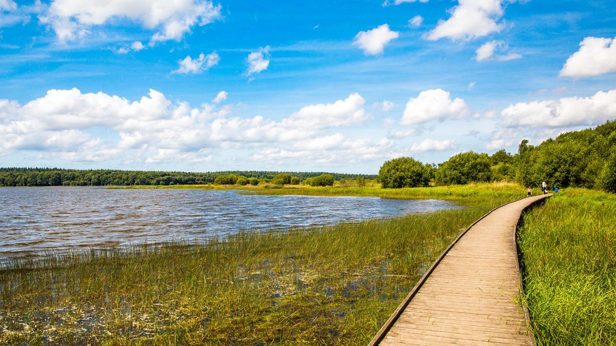 Un week-end à l’étang de Boulet | Ille-et-Vilaine Tourisme (35) en Bretagne