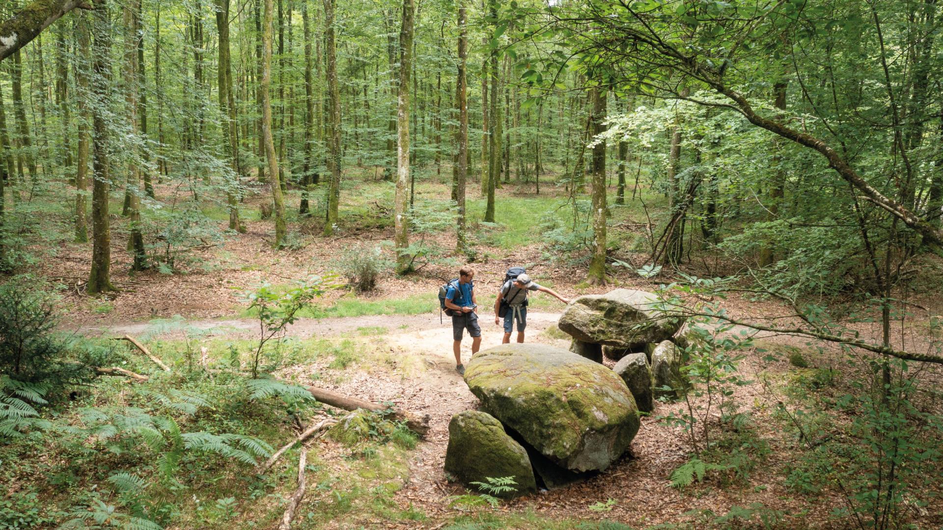 Que voir et que faire en Ille-et-Vilaine ? | Ille-et-Vilaine Tourisme ...