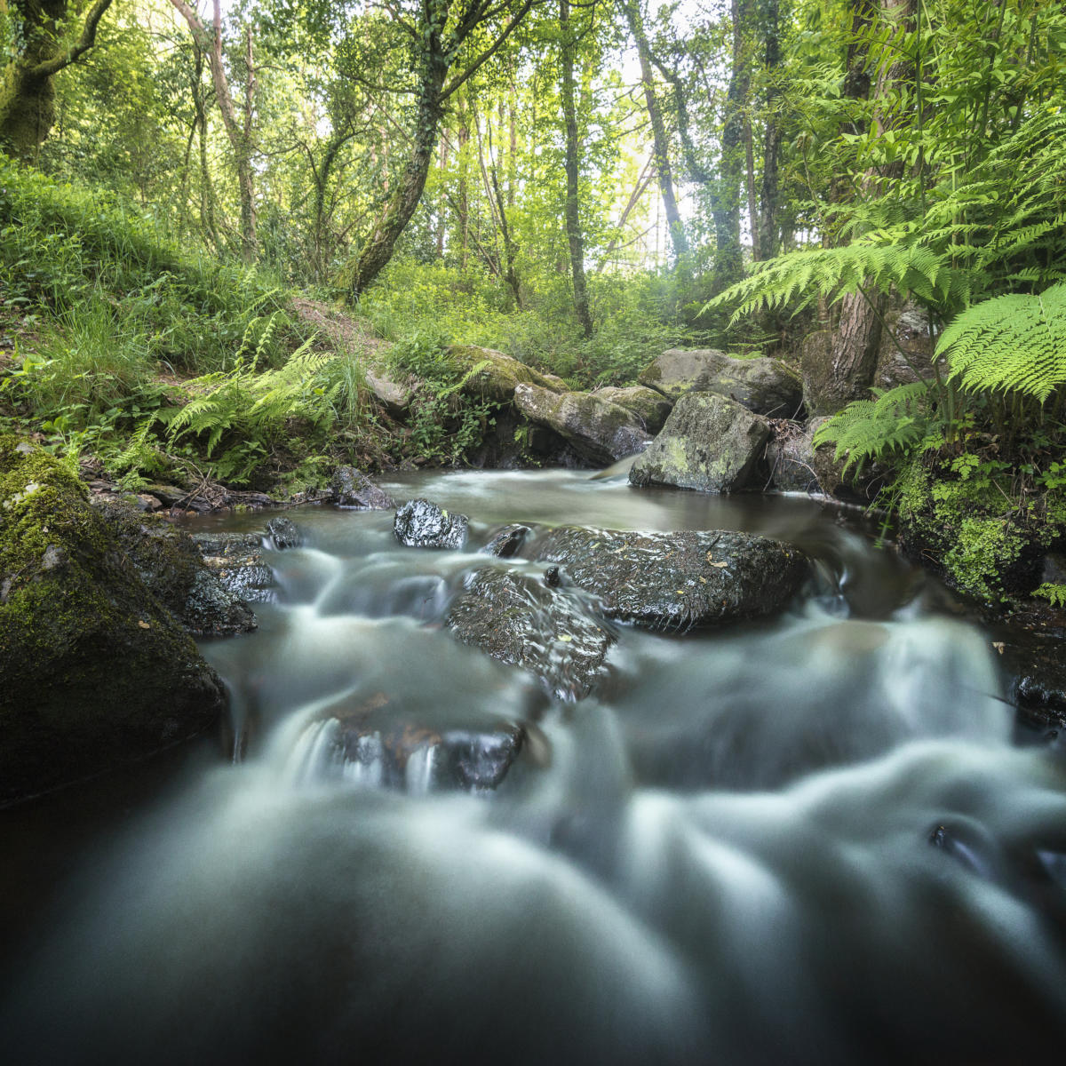 La Dame du Lac – La fée Viviane – Personnage légendaire en Brocéliande