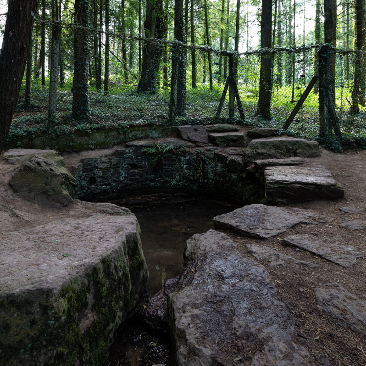 Paimpont Forest – Paimpont in Brittany – Destination Brocéliande