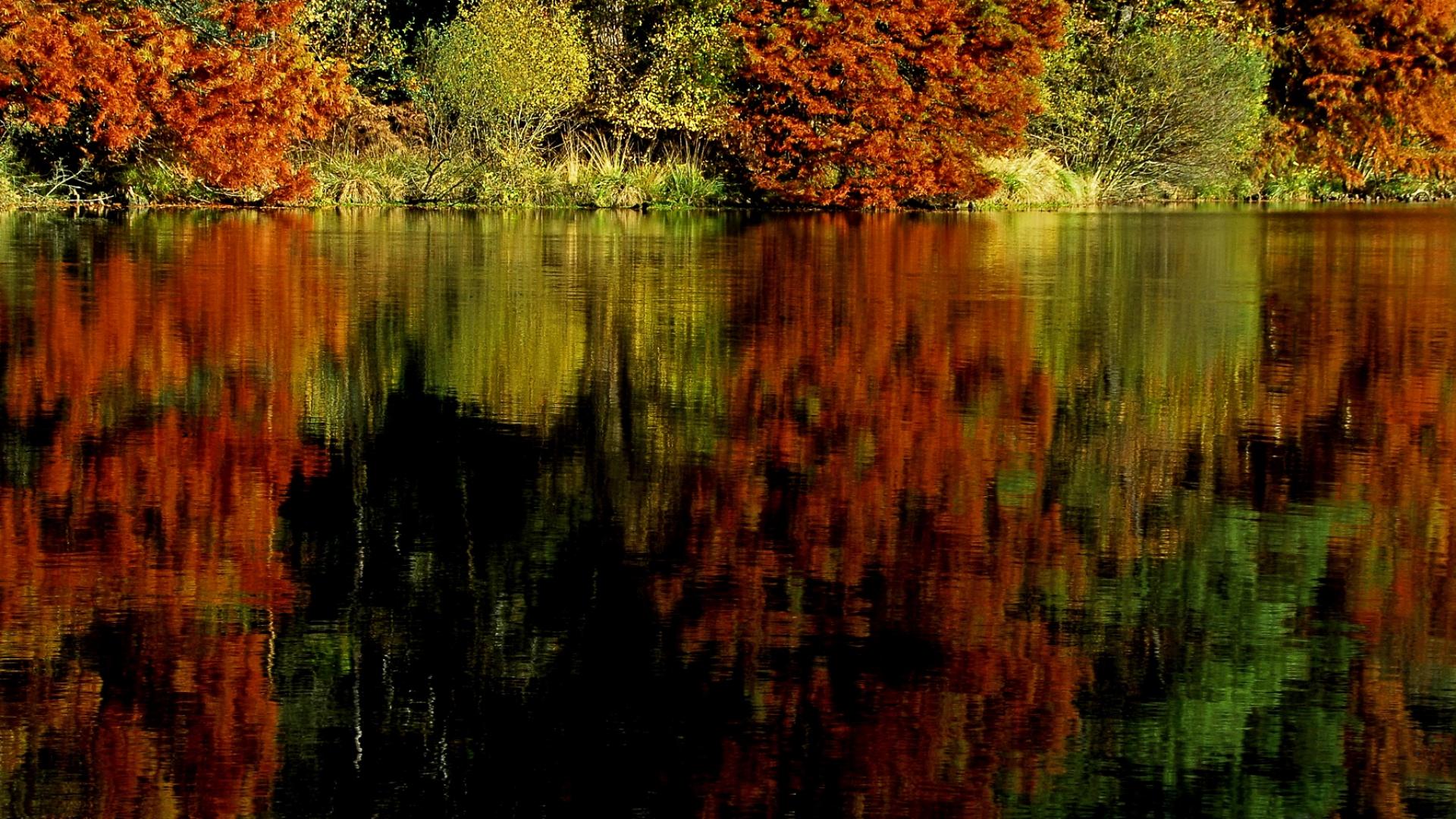 The Brocéliande forest in autumn and winter | Destination Brocéliande ...
