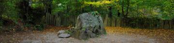 Forêt de Brocéliande légende – Lieux légendaires en forêt de Brocéliande