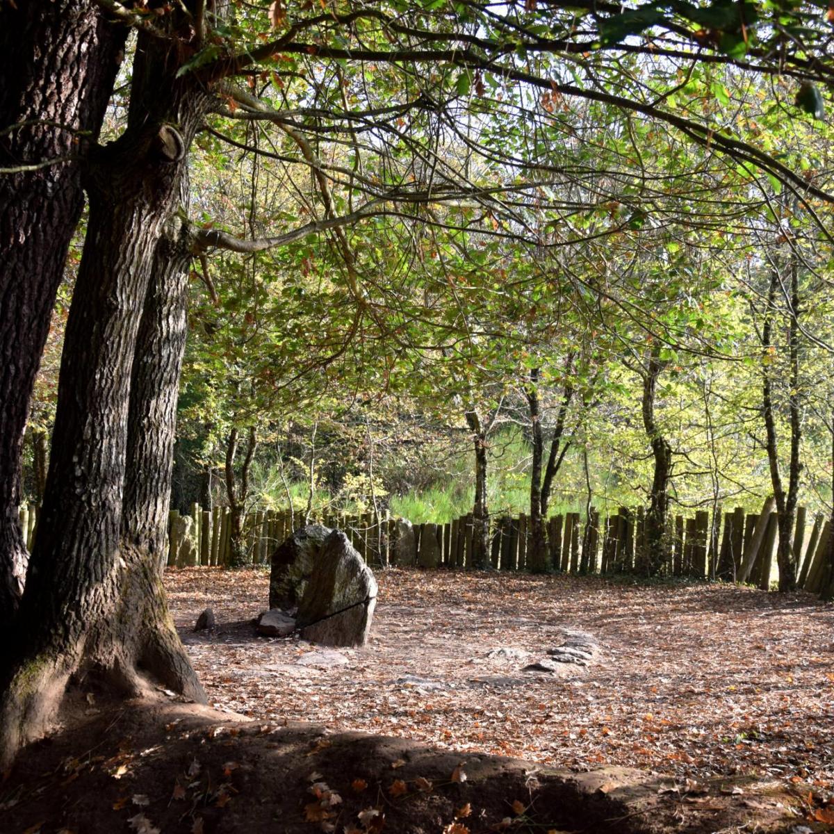 Broceliande Forest – Merlin’s Tomb – Destination Broceliande in Brittany