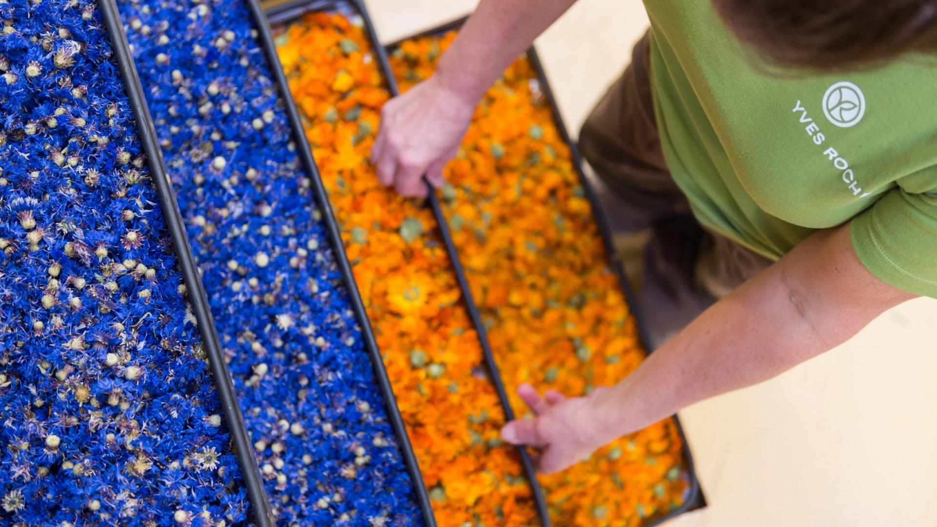 Yves Rocher La Gacilly – Yves Rocher Factory